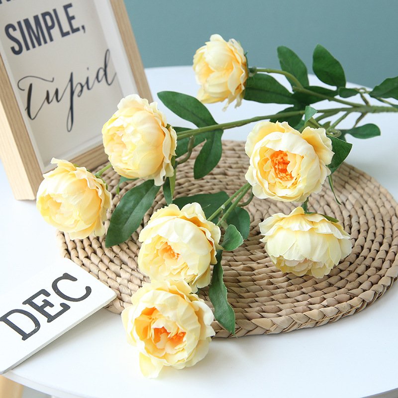 Seven-headed multi-colored peony